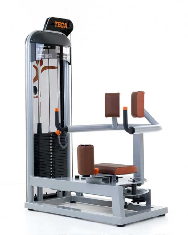 Rotatory Torso – Dannersports